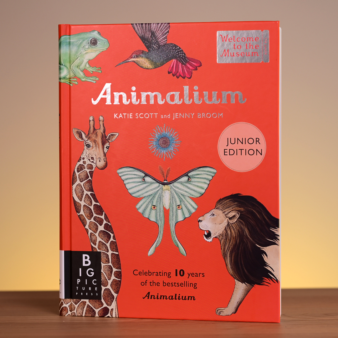Animalium | Junior Edition | Conscious Craft