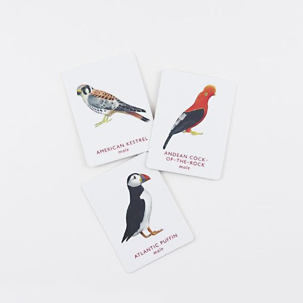 Match a Pair of Birds | Memory Game | Conscious Craft