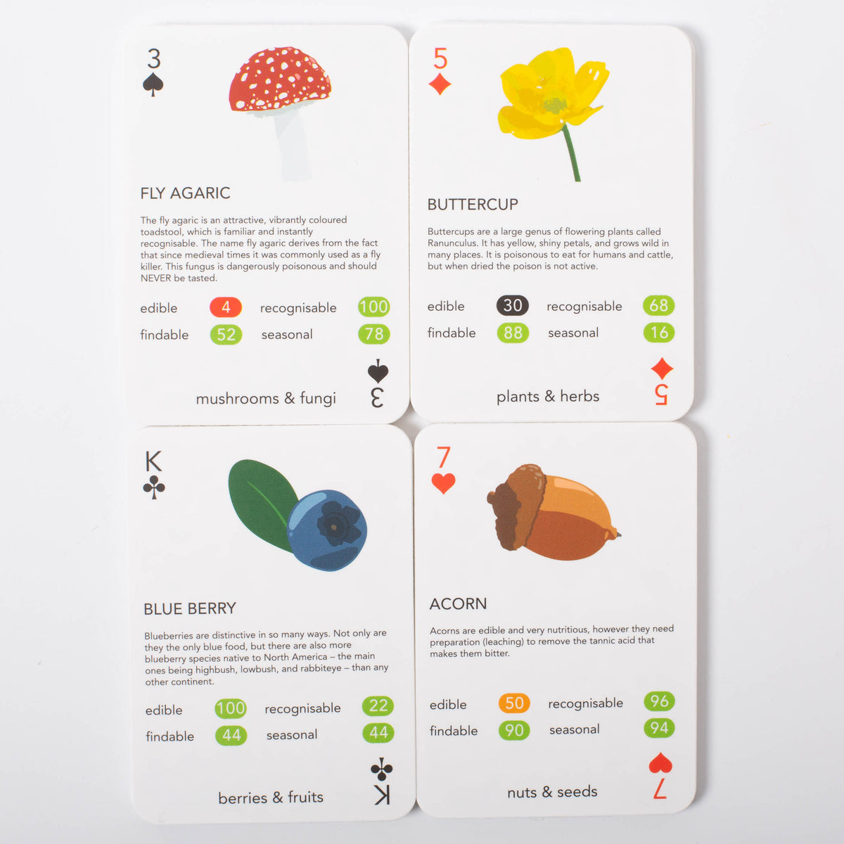 Foragers Playing Cards | Conscious Craft