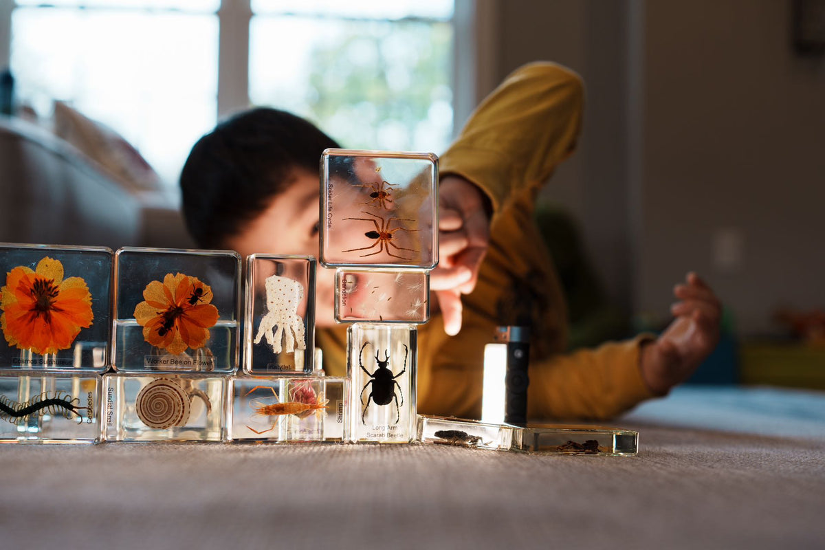 Educational Benefits of Playing with Specimen Toys – Conscious Craft