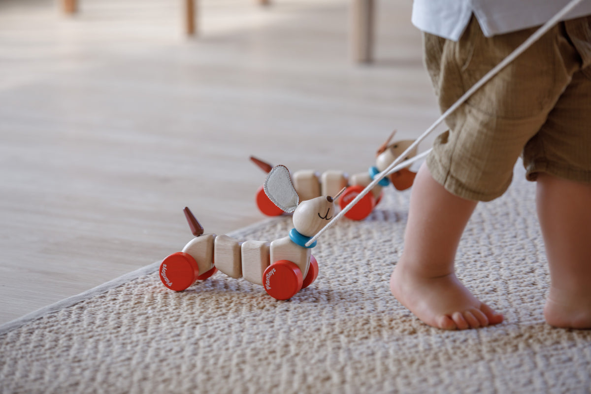 Little Ones | Push & Pull – Conscious Craft