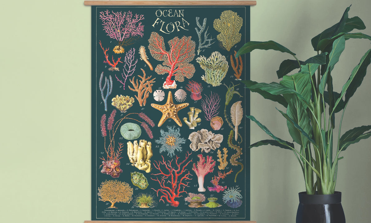 Posters – Conscious Craft