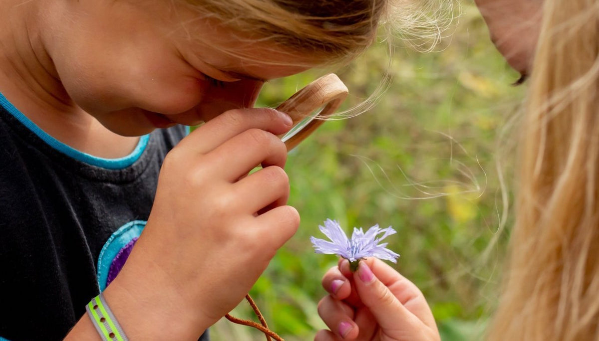 Huckleberry – Conscious Craft