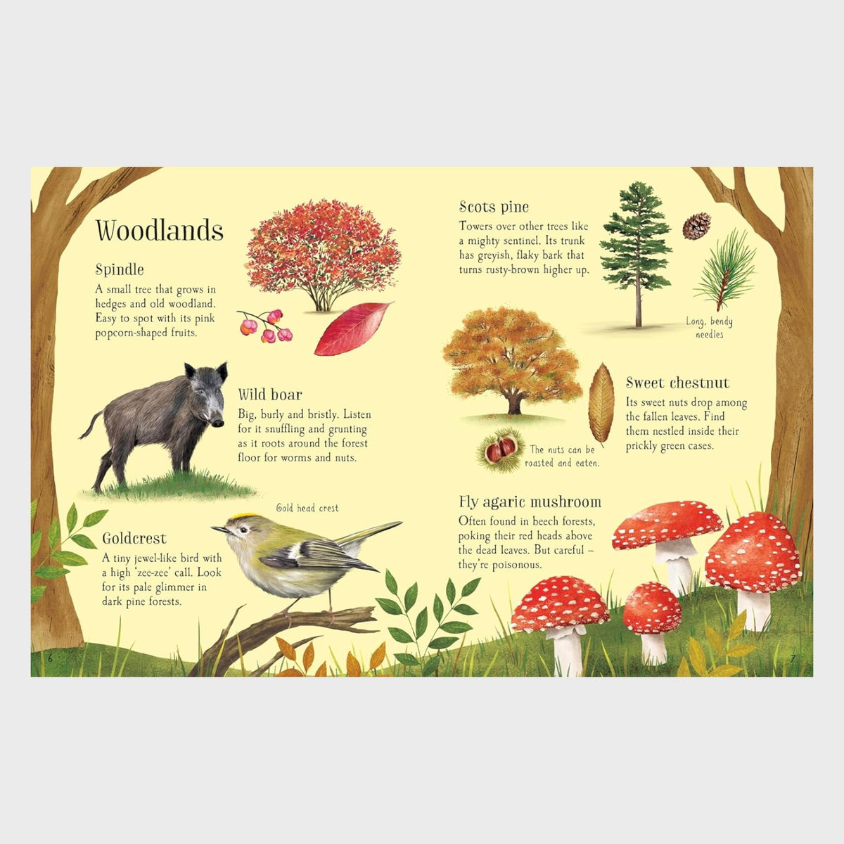 Things to Spot in Autumn | Usborne Minis – Conscious Craft