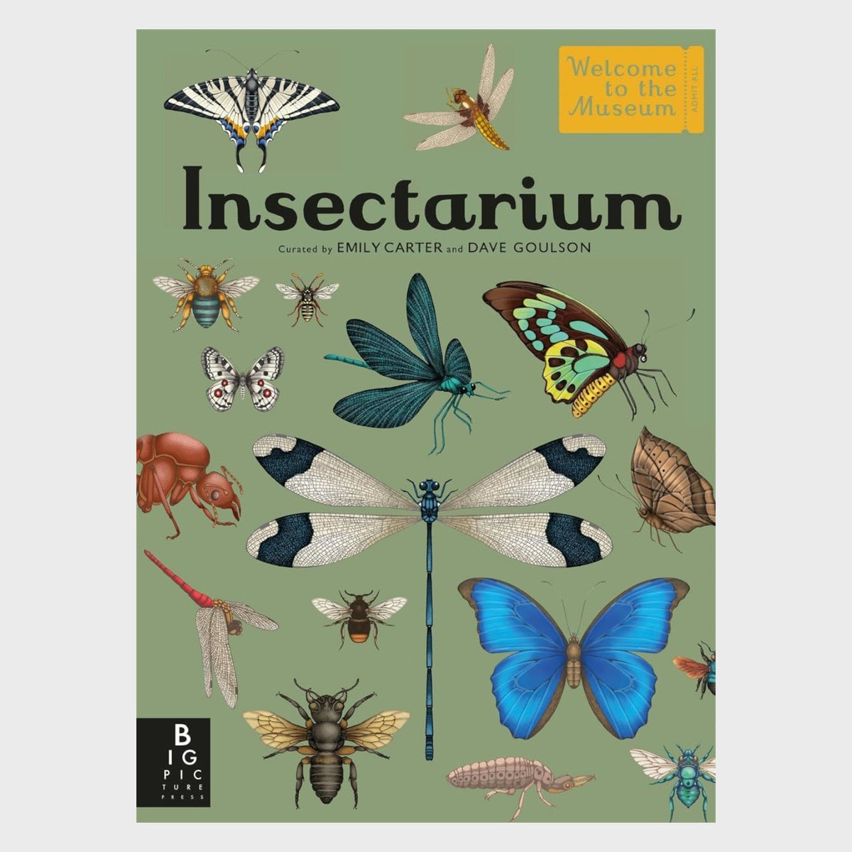 Insectarium | Welcome to the Museum – Conscious Craft