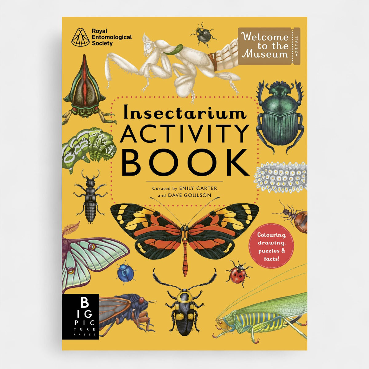 Insectarium Activity Book – Conscious Craft