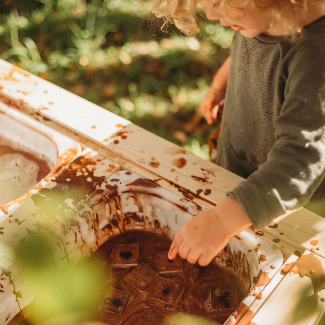 Our Earth Life | Creepy Crawlers Specimen Set – Conscious Craft