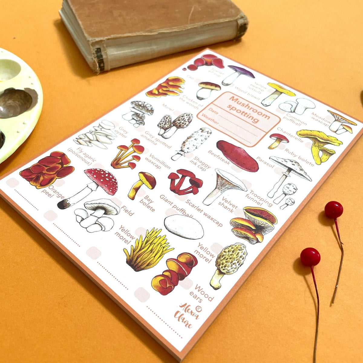 Alexia Claire Mushrooms Wildlife Spotting Notepad – Conscious Craft
