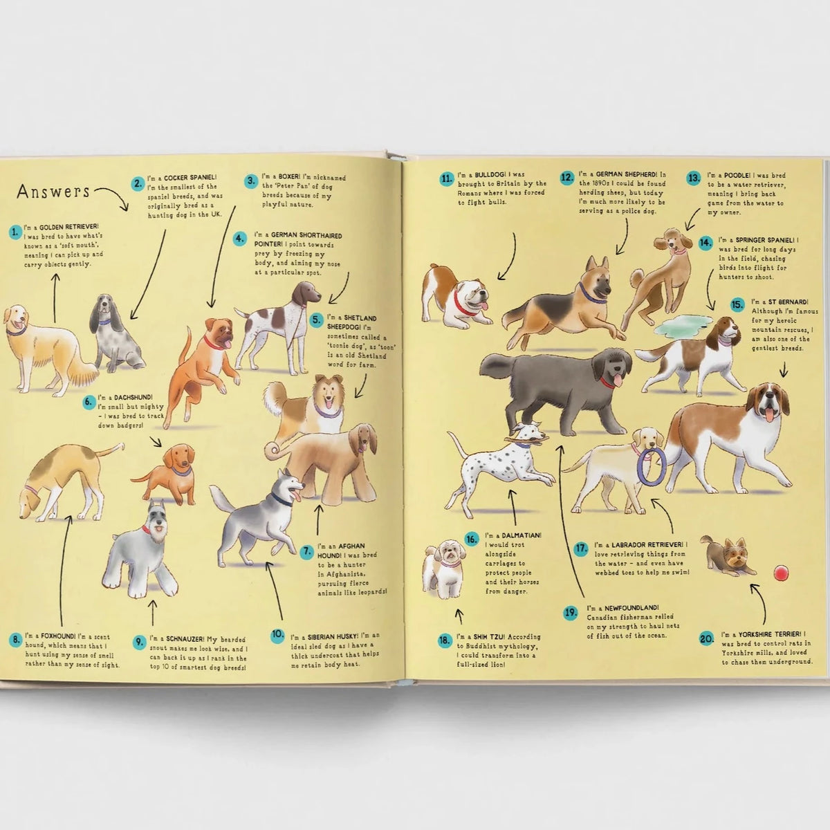 Name That Thing | Conscious craft – Conscious Craft