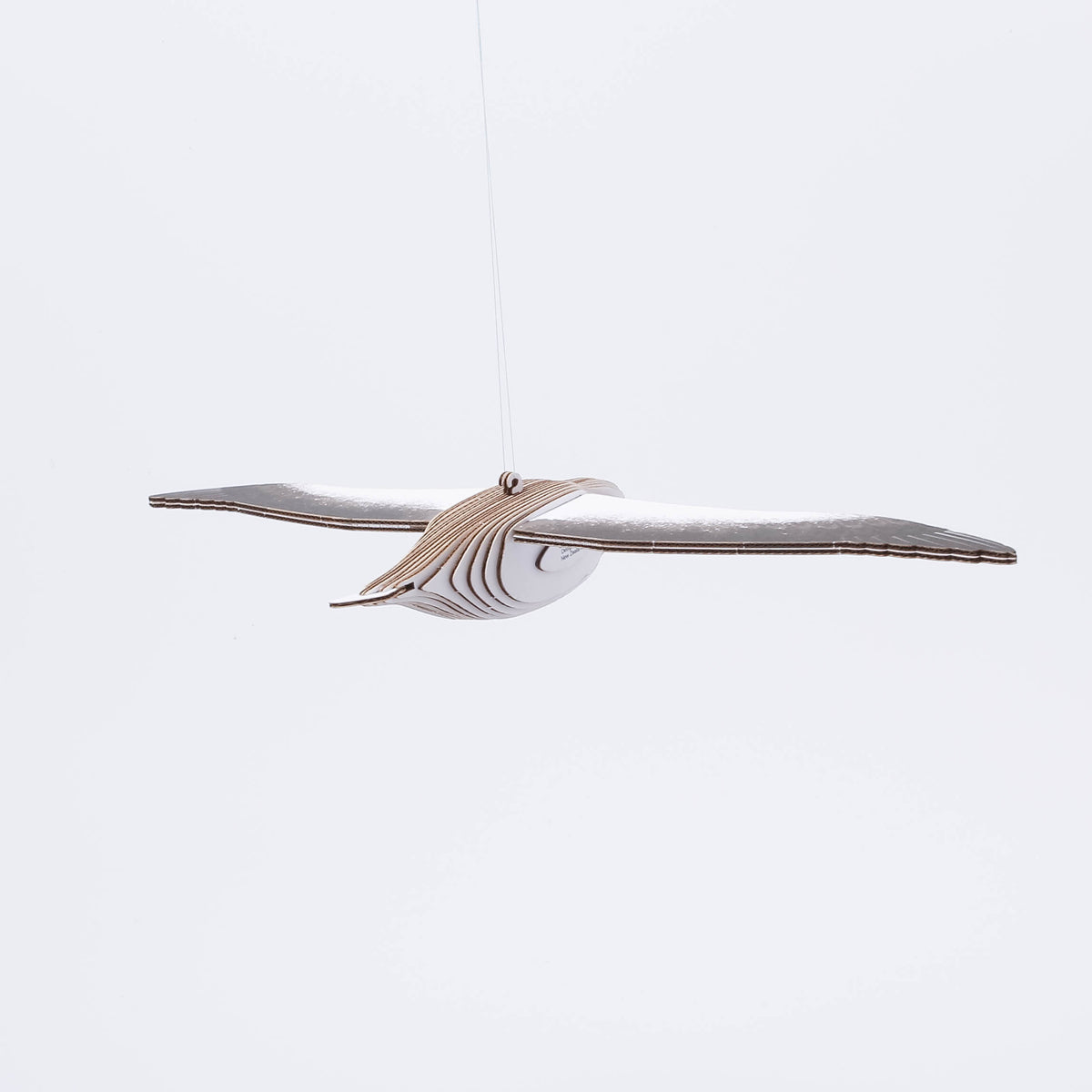 EUGY | Royal Albatross | Kids Cardboard Craft Kit – Conscious Craft