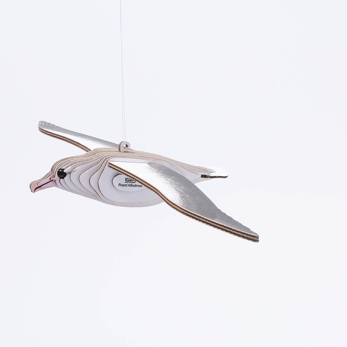 EUGY | Royal Albatross | Kids Cardboard Craft Kit – Conscious Craft