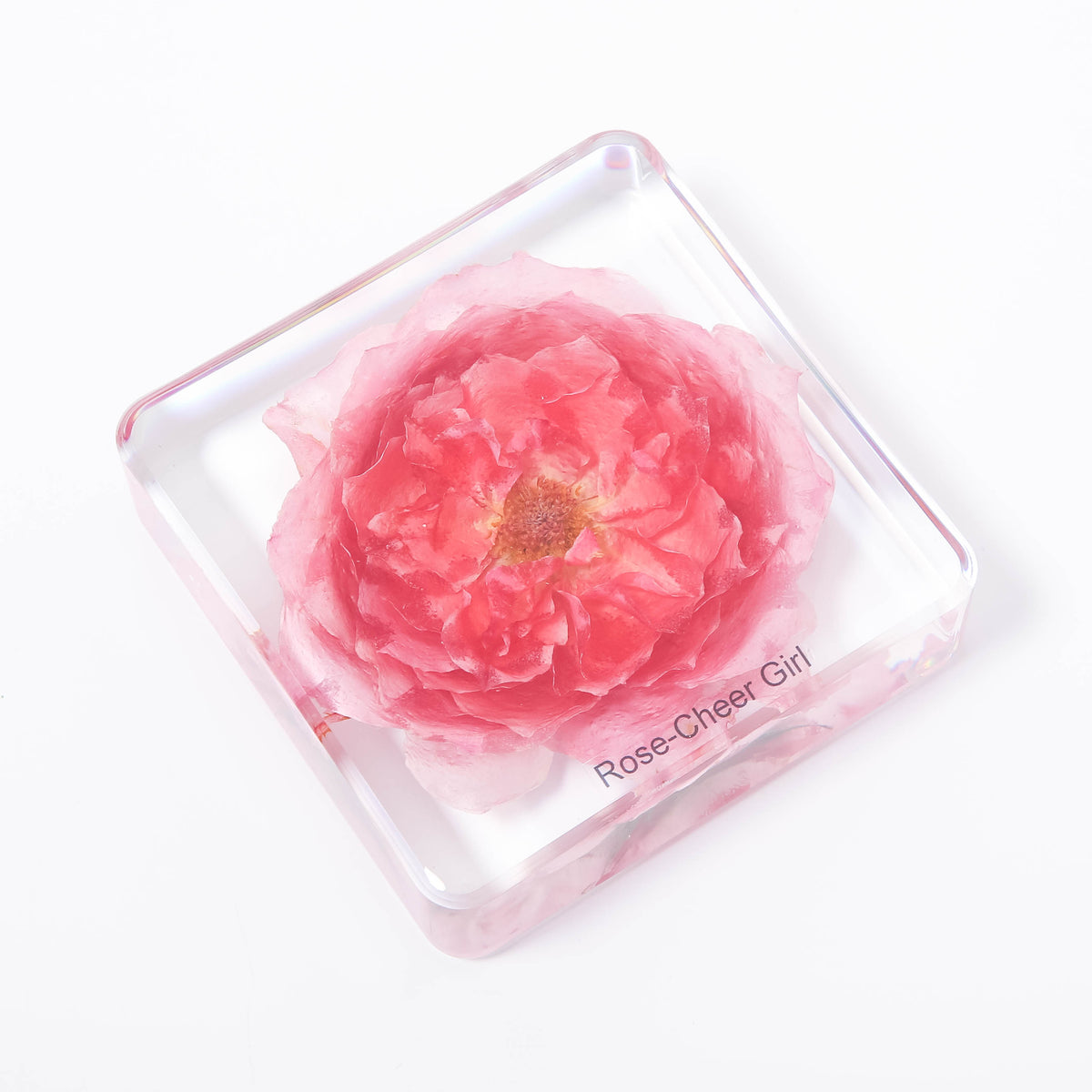 Natura Toys Rose-Cheer Girl – Conscious Craft