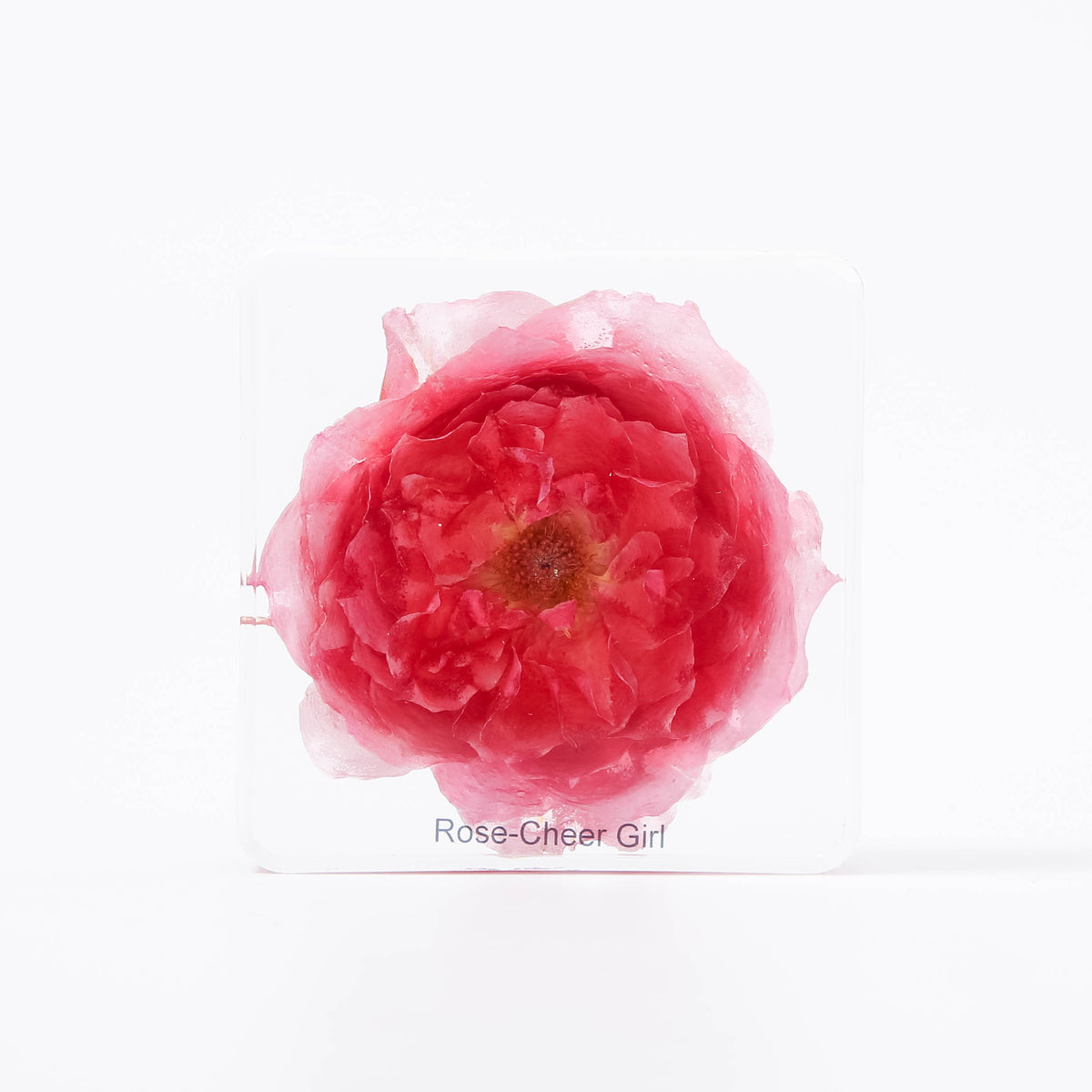 Natura Toys Rose-Cheer Girl – Conscious Craft