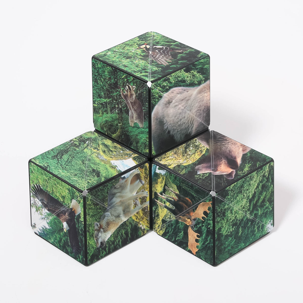 Shashibo Forest | Magnetic Puzzle Cube – Conscious Craft
