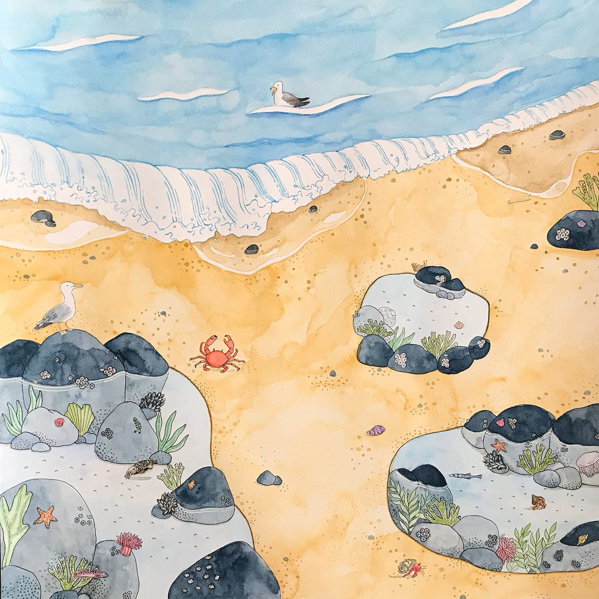 Wondercloth | Rock Pool Life | Conscious Craft