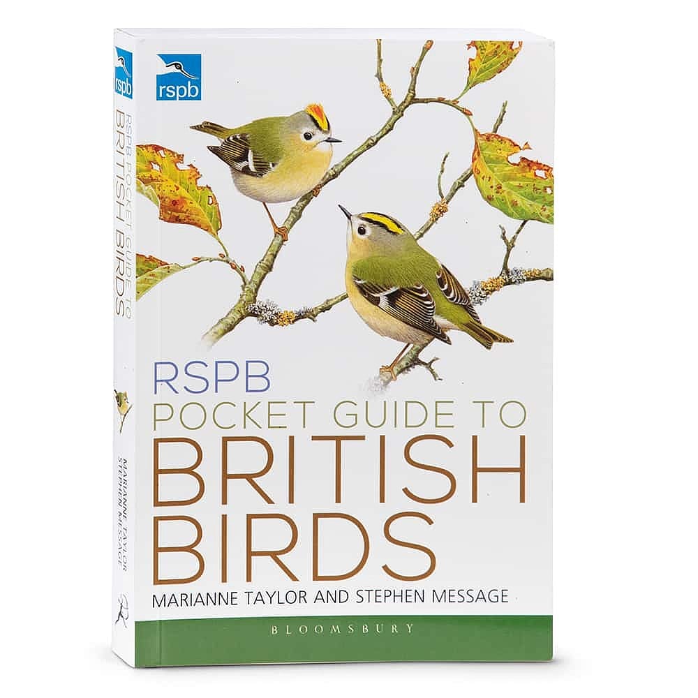 Rspb Garden Birds Poster | Fasci Garden