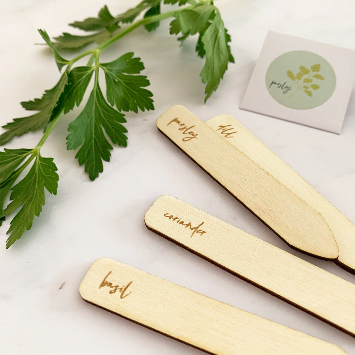 Herb Seeds Gift Kit – Conscious Craft