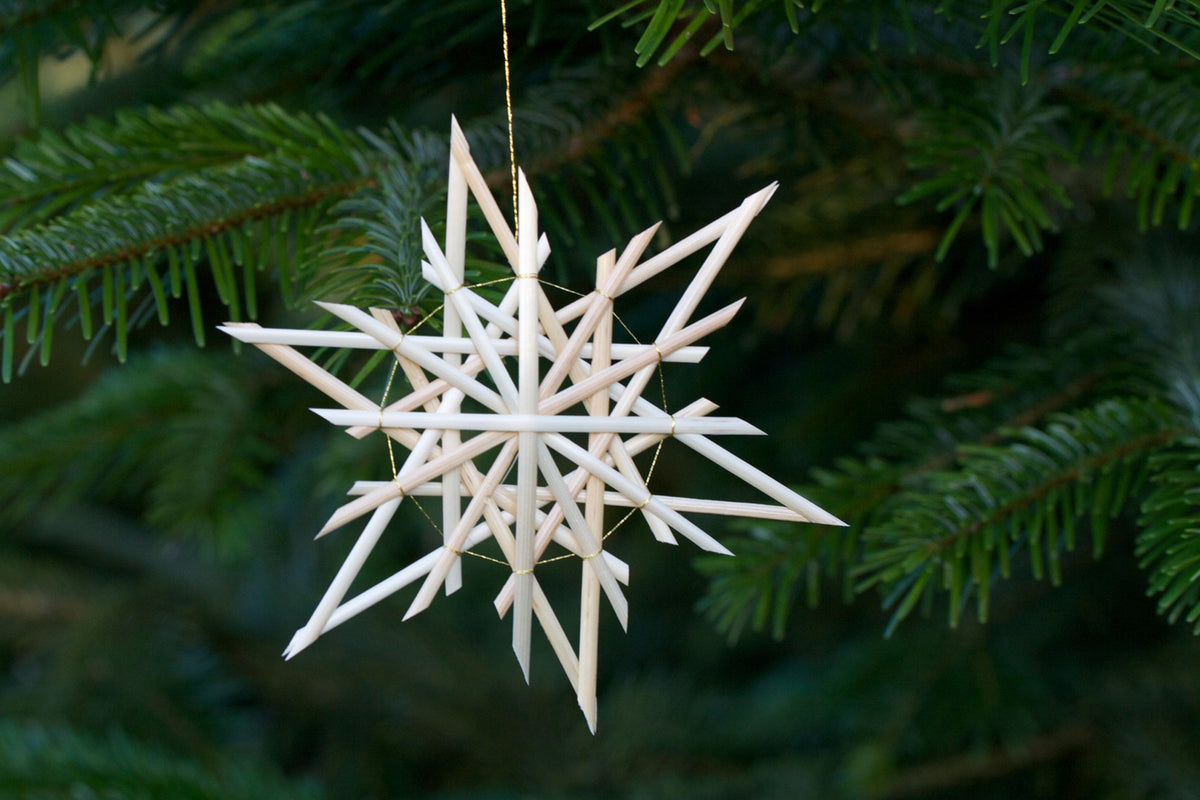 Straw Star Kit 12 Points – Conscious Craft