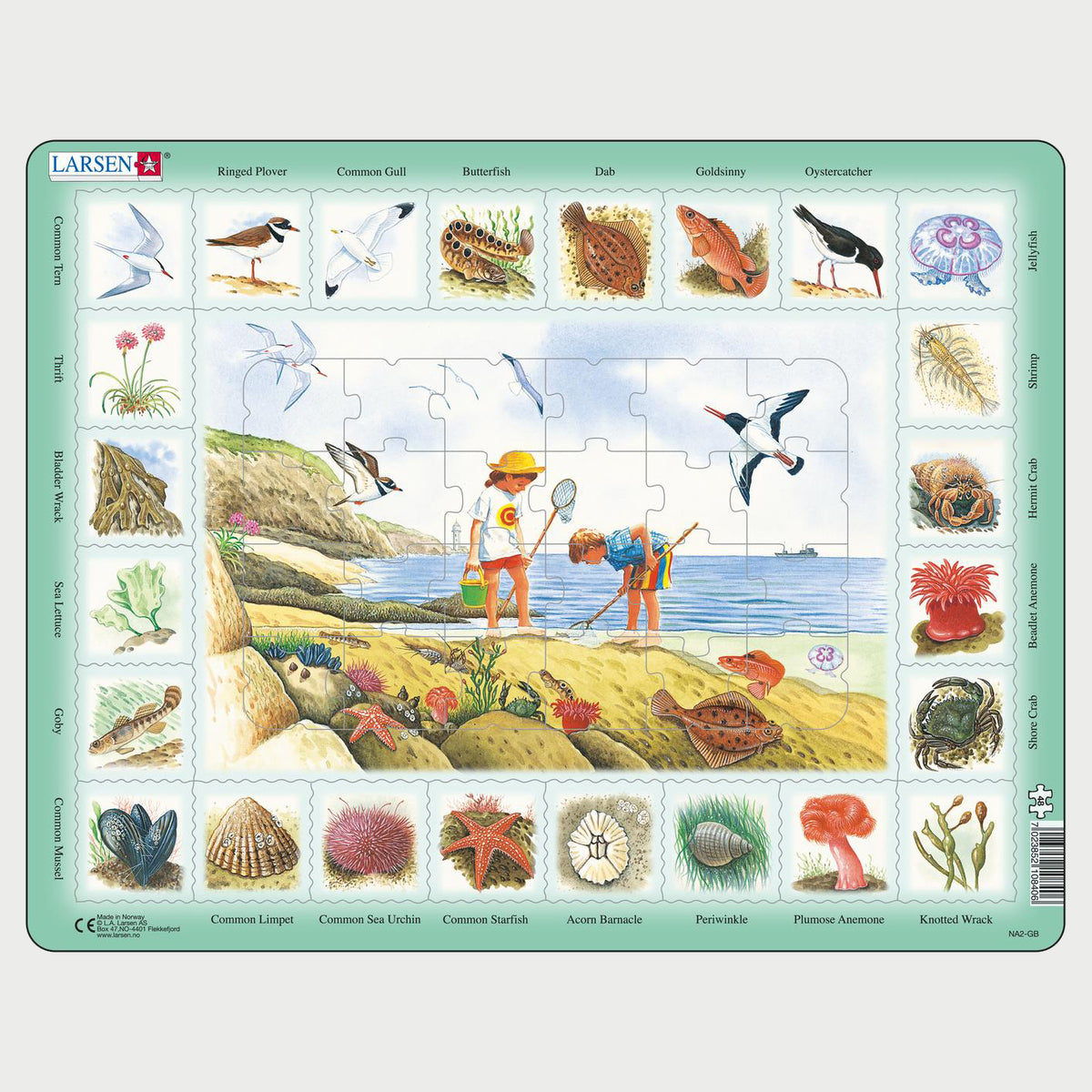 Seaside Puzzle Conscious Craft