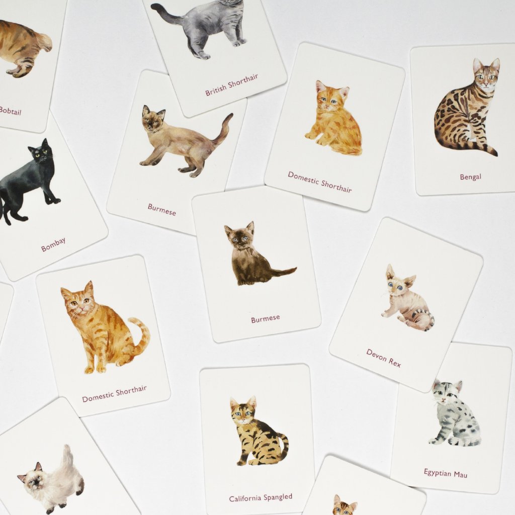 Cats and Kittens | Memory Game | Conscious Craft