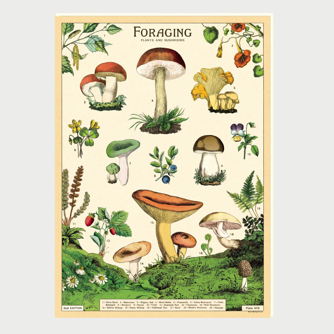 Forage | Poster | Conscious Craft