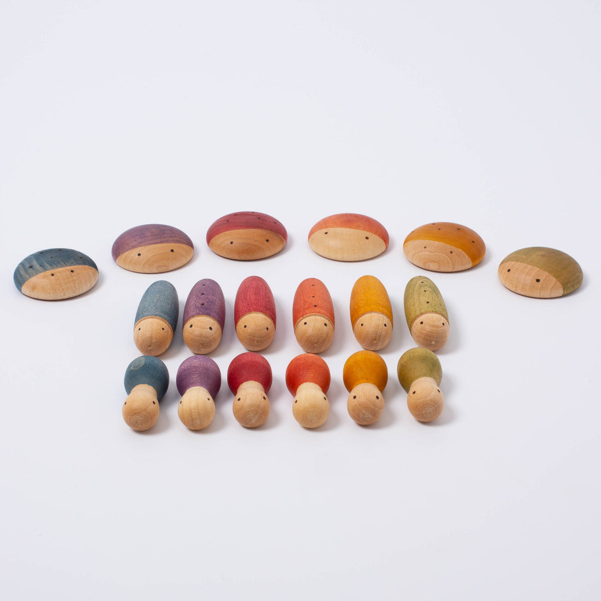 Grapat Insects | Conscious Craft