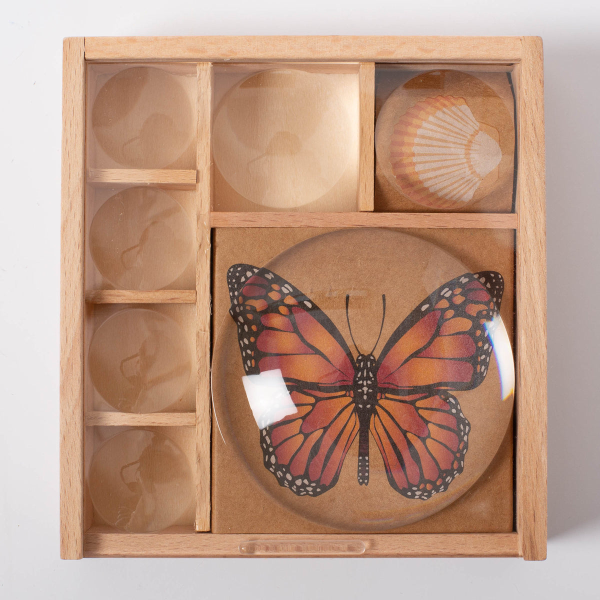 Huckleberry Bug Box | Conscious Craft